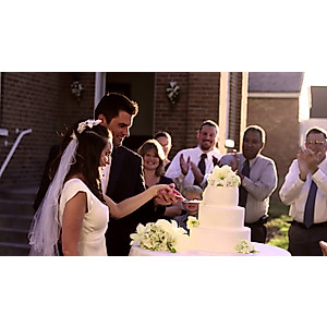 Elegant 2 Piece Cake Server Set 1 Cake Knife and 1 Cake Server 2 Tone Made of Stainless Steel and Beautiful Gold Design Ideal for Weddings, Parties, Elegant Events.