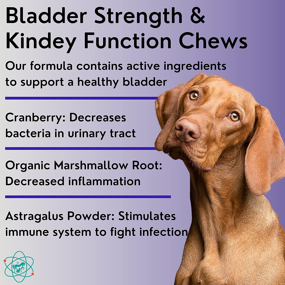 PET CARE Sciences Bladder Strength Approx 55 Chews - Natural Dog UTI Treatment - Kidney Support for Dogs - Dog Cranberry Supplement - Senior Dog Incontinence Supplements - Made in The USA