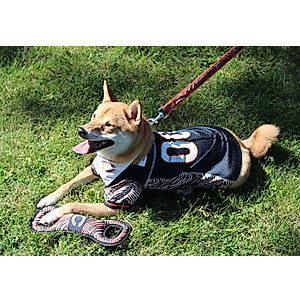 Zubaz NFL Team Logos and Colors Tug Dental Toy with Squeaker for Dogs & Cats, Minnesota Vikings