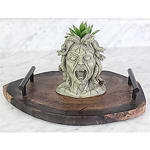 Darware Mini Resin Medusa Head Planter, Garden Decor Statue Flower Pot