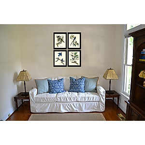Bird Print Wall Art Set of 4 Prints Beautiful James Audubon Titmouth Fork-tailed Flycatcher Blue Bird Bluebirds Indigo Bird on Pine Tree Blooming Magnolia Flower Home Room Decor Unframed