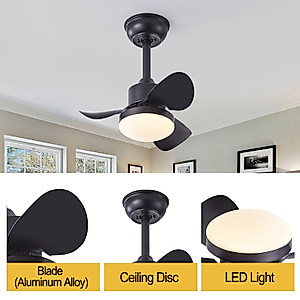 EMIKIRII Ceiling Fan with Lights and Remote,21'' Small Modern Ceiling Fan,Smart APP Control,Dimmable Metal Blades Flush Mount Quiet Mini Ceiling Fans Lights for Kitchen Dining Room Bedroom