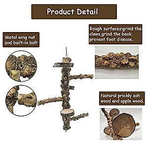 Tfwadmx Bird Perch Natural Wood Stand Branch Hanging Swing Stick Parakeet Climbing Paw Grinding Platform Chewing Toys for Cockatiels, Love Birds and Finches Birdcage Accessories