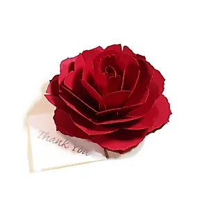 Blooming Flower Pop-up Greeting Card, Birthday Card, Mother's Day, Christmas Card, Sympathy Card, All Occasion (Red Rose)