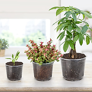 OUPSAUI 6/5/3.5 Inch Clear Nursery Pots with Drainage Holes, 30 Pack Nursery Pots Variety Pack, Durable Transparent Plastic Pots for Plants, Seed Starter Pots, Garden Flower Orchid Pots