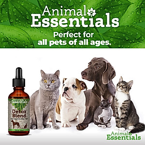Animal Essentials Detox Blend - Liver Support for Dogs & Cats, Herbal Liver Supplement, Veterinarian Recommended Animal Wellness Tonics - 2 Fl Oz