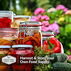 Survival Garden Seeds Paste Tomato Collection - Roma and San Marzano Tomato Seeds for Planting in The Garden - Non-GMO Heirloom Varieties