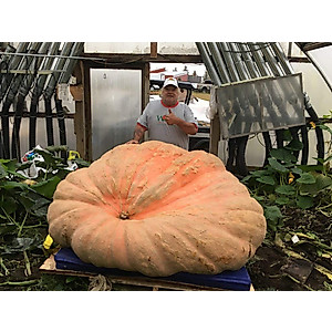 Compost Tea Aerator - The BubbleSnake : 5 Gallon Bucket Aerator