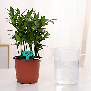 ORIMERC 60 feet 1/6 inch Self Watering Wick Cord for Vacation Self-Watering Planter Pot DIY Automatic Watering Device System Potted Plant Sitter Auto Drip Waterer to Water African Violet