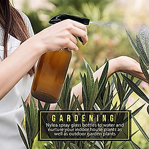 Nylea Glass Spray Bottles - Premium Empty Spray Bottle for Cleaning, Hair, and Essential Oils - Refillable Spritzer Bottle for Plants & Cleaning Solutions - Mist & Single Trigger Sprayer (16 oz)