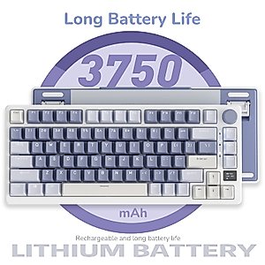 RK ROYAL KLUDGE M75 Mechanical Keyboard with OLED Smart Display and Volume Knob, 2.4G/USB-C/BT Gasket Mounted 75% Layout Wireless Gaming Keyboard with 81 Keys, RGB Backlit Hot-Swappable Brown Switch