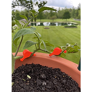 Engineered Essentials Any Angle Adjustable Plant Bender