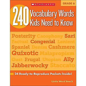 240 Vocabulary Words Kids Need to Know: Grade 6: 24 Ready-To-Reproduce Packets Inside!