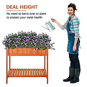 AuAg Wooden Raised Garden Bed with 8 Slot, Elevated Flower Planter Box Stand w/Leg &amp; Storage Shelf, Outdoor Vegetable Growing Bed Kit w/Liner, Herb Standing Gardening Planter for Backyard, Patio, Deck