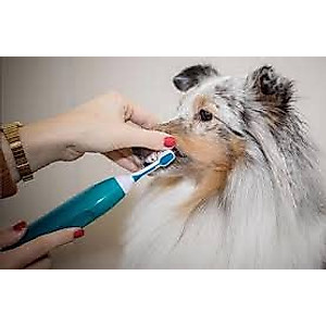 Emmi-pet Ultrasound Bristle-Head Attachments (2 Small Size)