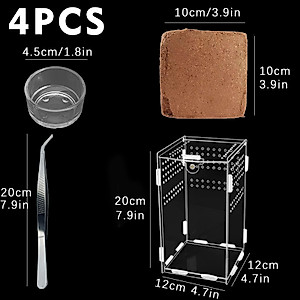 TREELF Micro Habitat Terrarium Kit (4pc Set) - Acrylic Reptile & Spider Enclosure (4.7 * 4.7 * 8 Inches)