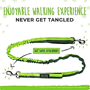 Mighty Paw Hands Free Bungee Leash 2.0 | 4’ Dog Lead W/Dual Padded Traffic Handles for Running, Hiking & Jogging. Wearable Belt (27-48” Waistband) W/ 2 Attachment Loops. Pets Up to 150lb (Green)