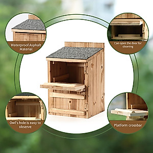 Owl House Screech Owl House Owl House Cedar Barn Owl Bird House House Owls & Kestrels Owl Houses for Outdoors Large Handmade Wooden Rectangular Opening Bird Box with Mounting Screws Easy Assembly