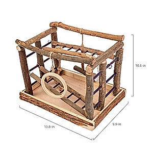 Niteangel Natural Living Playground for Birds, Bird Activity Center