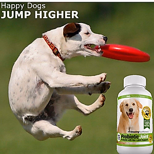 Amazing Cranberry Chews and Amazing Probiotic Joint for Dogs