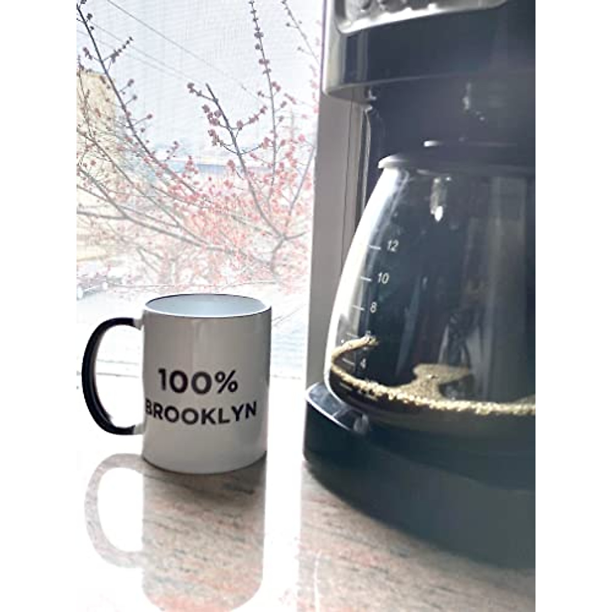 “Crazy Plant Lady”- Best Gardener & Planter- Funny Ceramic Novelty Coffee Mug with Black Handle- 11 oz Teacup for Hot Chocolate and Tea- Stocking Stuffer for Christmas, Birthday and Office