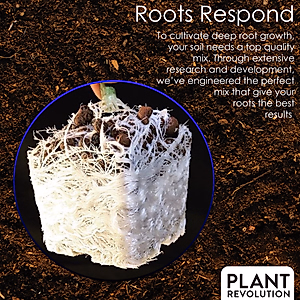 Plant Revolution PRPSGW01 Premium White Mycorrhizae, 1 oz, 1 Ounce, Gray