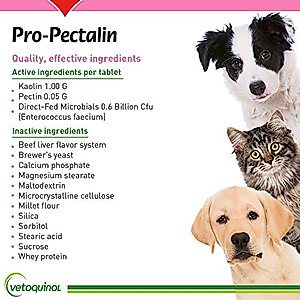 Vetoquinol Pro-Pectalin Chewable Tablets for Dogs & Cats – 250ct, Beef Liver Flavor – Helps Reduce Occasional Loose Stool & Diarrhea, Balance Gut pH, Support Normal Digestion & Intestinal Flora