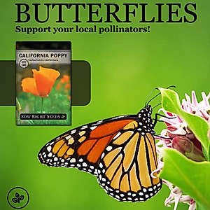 Sow Right Seeds - California Poppy Seeds to Plant - Full Instructions for Planting and Growing a Beautiful Flower Garden; Non-GMO Heirloom Seeds; Wonderful Gardening Gift (1)