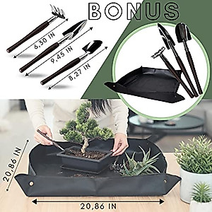 HäMO Bonsai Training Pots with Drainage Humidity Tray - Built in Mesh, 9 Inch Large Bonsai Tree Pot Planter, Set of 3 Bonsai Pots Set with Repotting Mat and 3 Mini Gardening Tools.