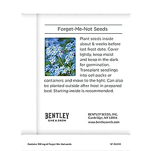 Bentley Seeds Growing Houses into Homes - Pre Filled Forget Me Not Garden Seed Packets - 25 Packed Forget Me Not Seed Packs - Perfect Realtor Gift for Prospecting or New Homeowners - Non GMO Seeds