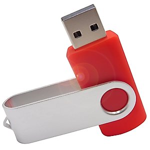 Swivel USB Flash Drives Memory Sticks Thumb Drive Pen jumpdrive U Disk for Pupil & Students (2GB Red with Type-C/OTG Converter)