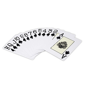 CHIPS and GAMES 2 Decks of Waterproof 100% Plastic Playing Cards, Poker (Wide) Size, Large (Jumbo) Index