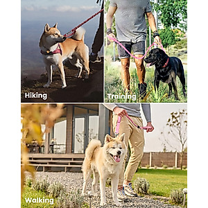 OutdoorMaster Bungee Dog Leash, Heavy Duty Dog Leash with Shock Absorption, 2 Padded Handles Training Leash, Improved Dog Safety and Comfort (Pink, 4FT)