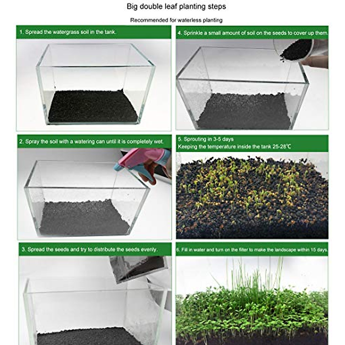 Zafina 3 Pack Aquarium Plant Seeds, Easy to Grow Aquatic Plant Seeds, Fast Growing Aquarium Carpet Seeds - Creates a Natural Ecosystem for Your Fish