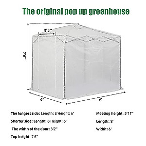 CROWN SHADES 8'x6' Instant Pop-up Walk-in Greenhouse Indoor Outdoor Plant Gardening Green House Canopy, Front and Rear Roll-up Zipper Entry Doors and 2 Roll-Up Side Windows, Transparent