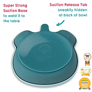 TUM TUM Suction Bowl for Baby, Toddler Bowl with Lid & Spoon, for Babies & Toddlers 6 Months+, BPA Free Silicone Baby Feeding Set, Microwave/Dishwasher/Freezer Safe, Boris Bear, Blue