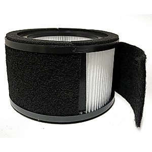 Nispira Replacement Filter L True HEPA + Activated Carbon Pre Filter Compatible with GermGuardian Air Purifier AC4200W FLT4200, 2 Packs