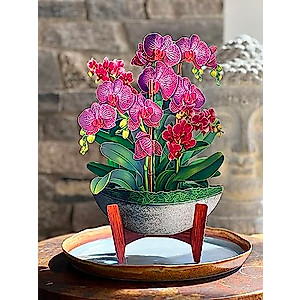 Freshcut Paper Pop Up Cards, Orchid Oasis, 12 Inch Life Sized Forever Flower Bouquet 3D Popup Greeting Cards, Birthday Gift Cards, Gifts for Her with Note Card & Envelope