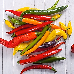 David's Garden Seeds Pepper Cayenne Blend 9622 (Multi) 25 Non-GMO, Heirloom Seeds
