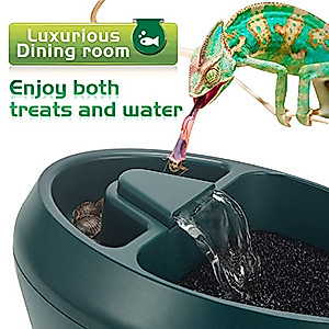 NEPTONION Reptile Chameleon Cantina with Snacks Trough, Drinking Fountain Water Dripper for Amphibians Insects Lizard Turtle Snake Spider Frog Gecko, Comes with Two Pumps (One for Replacement)