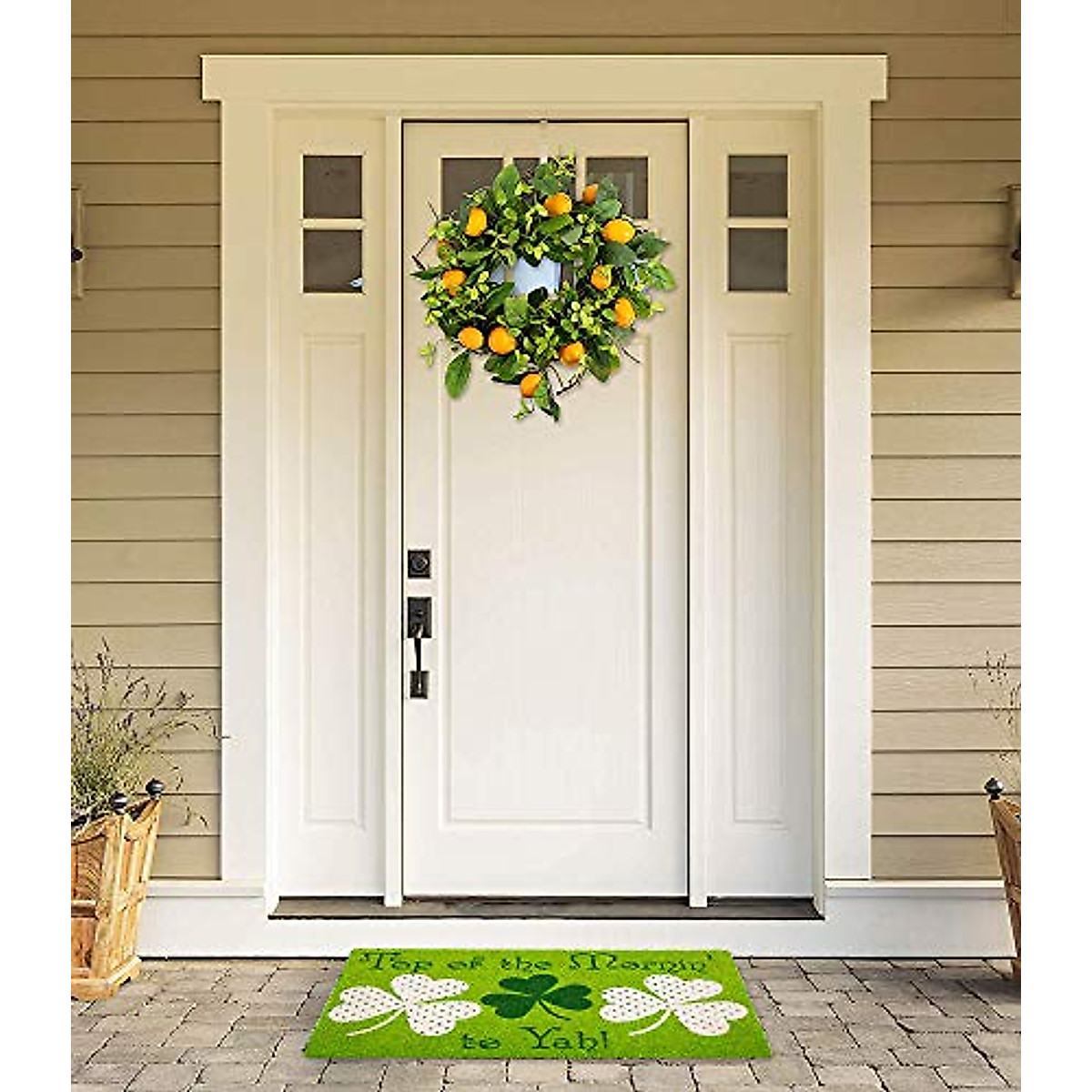 DII Indoor/Outdoor Natural Coir Fiber Spring/Summer Doormat, 17x29, Top of The Mornin' to Yah!