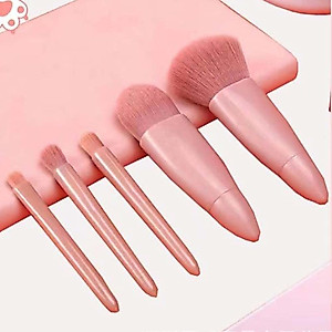 Easy-taken Travel Makeup Brush Set, COSHINE 5pcs Mini Complete Function Cosmetic Brushes Kit (5pcs with mirror)