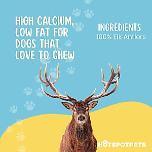 hotspot pets Split Elk Antlers for Dogs - 4-5 Inch Long Dog Chews,(3 Pack) Naturally Shed Elk Antler Bone for Medium Breed Aggressive Chewers - Made in USA - No Chemicals or Preservatives