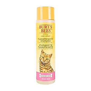 Burt's Bees for Pets Cat Hypoallergenic Cat Shampoo with Shea Butter & Honey | Best Shampoo for Cats with Dry or Sensitive Skin | Cruelty Free, Sulfate & Paraben Free, pH Balanced for Cats - 10oz