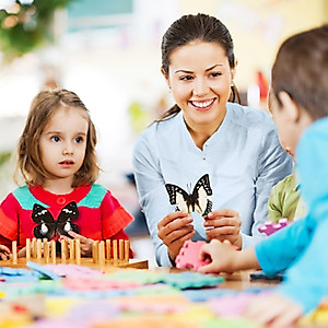 WTUAWB 6 Pcs Real Butterfly Specimen - Taxidermy Butterfly DIY Creative Production, Taxidermy Animals for Framed Butterfly Shadow Box (Random)