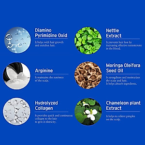 Bio Scalp Shampoo 500ml 16.9oz (16.9 oz)