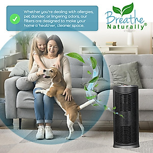 Breathe Naturally - Extra Thick Replacement Carbon Pre-Filters Compatible with Hoover AH60015, WH10040, WH10060 - Premium Carbon Filter Replacement - Made in USA - Perfect for Home & Office(4 pack)