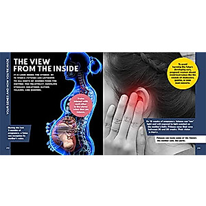 The Fascinating Human Body Book for Kids: 500 Phenomenal Facts! (Fascinating Facts)