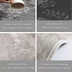 3D Illusion Area Rugs, 3x5ft, Home Decor 3D Optical Illusion Rug, Animal Dinosaur, Dolphin, Spider and Bat Design Carpets with Hole, for Room Sofa Living Room Rug Bedroom Home Decor Rug