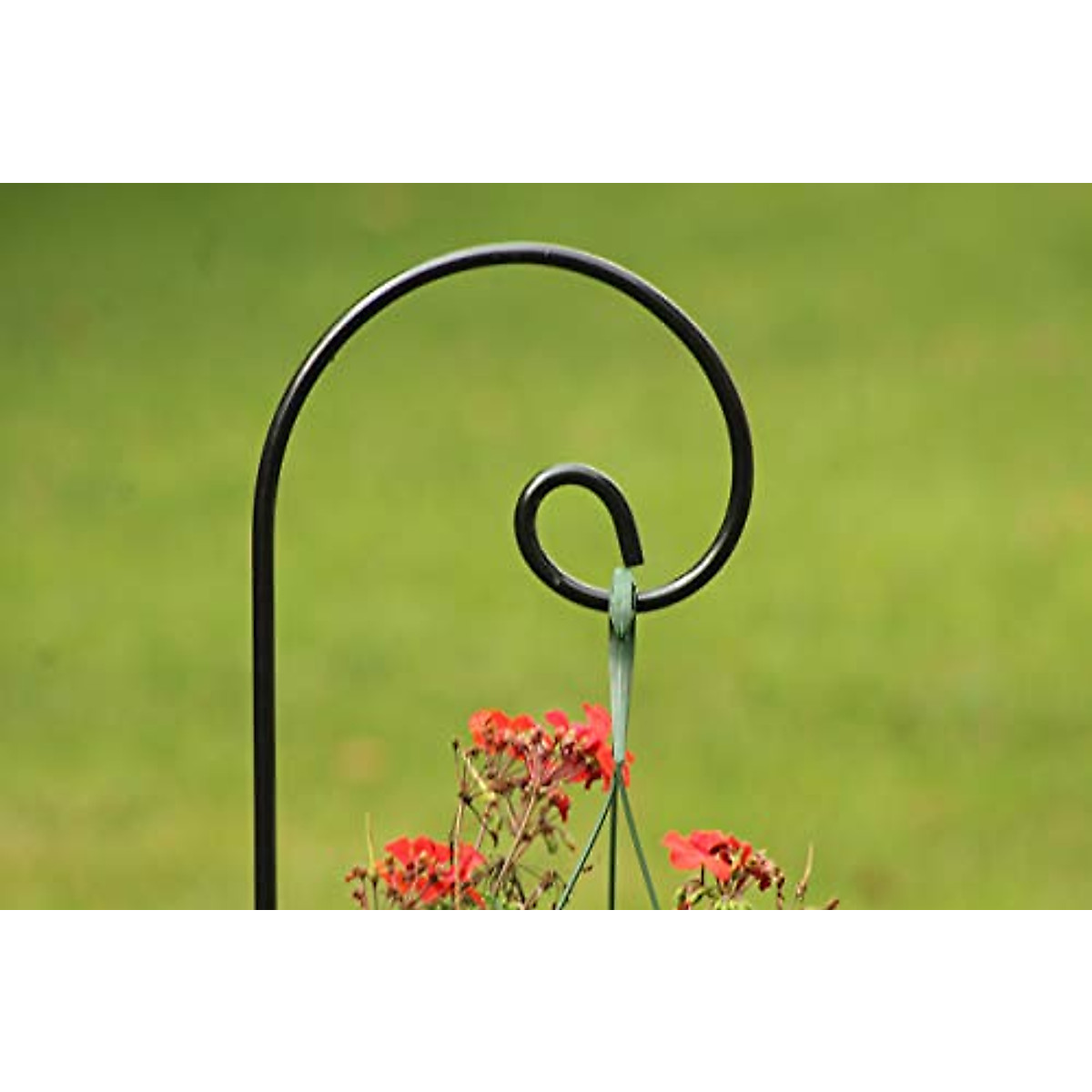 Ashman Shepherd Hook 65 Inch Curled (2 Pack), 1/2 Black Inch Diameter, Solid Metal for Hanging Plant Bird Feeders, Mason Jars, Flower Basket, Christmas Lights, Lanterns, Garden Stakes, and Weddings